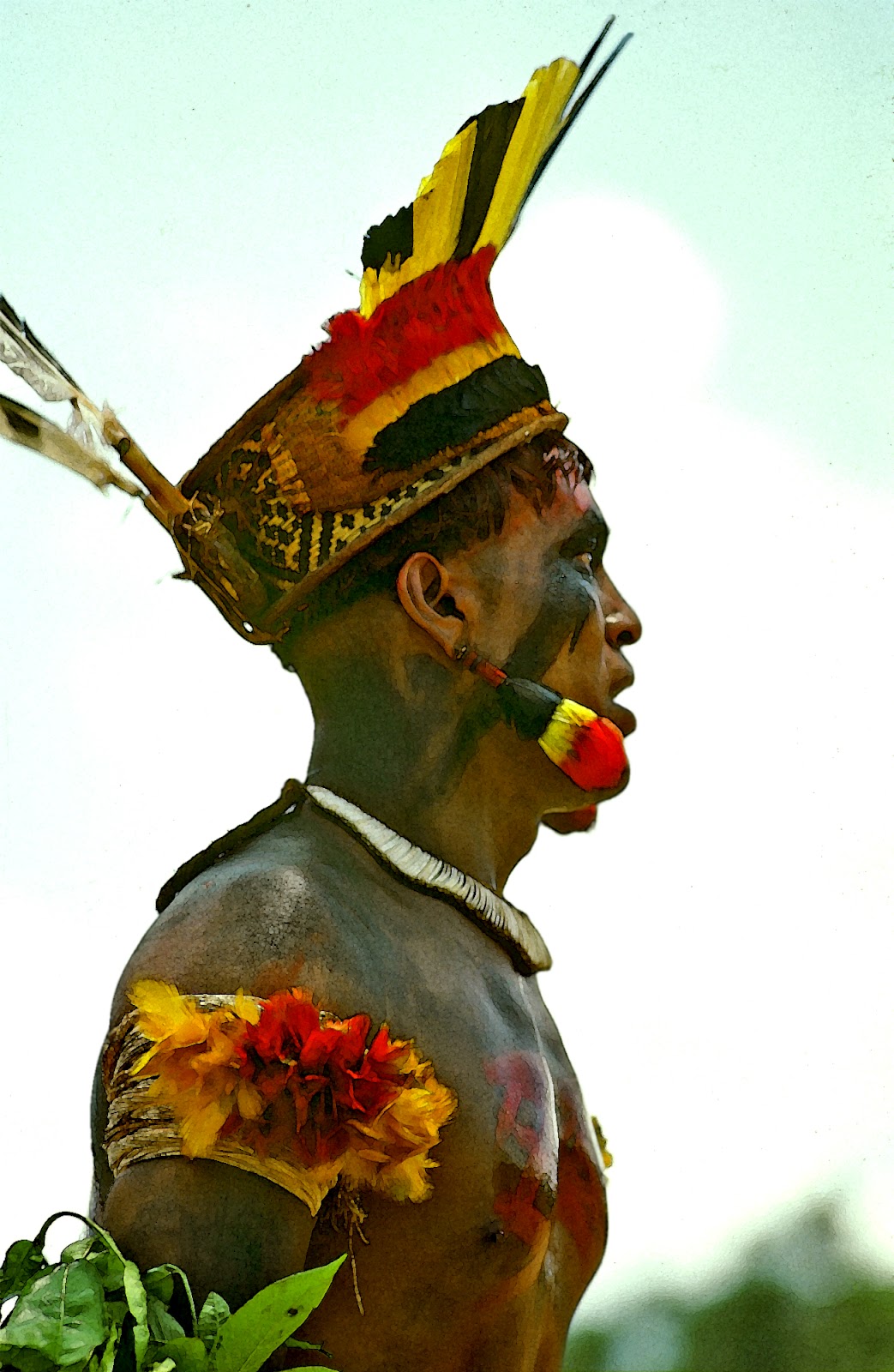 Ŧhe ₵oincidental Ðandy: November 2011